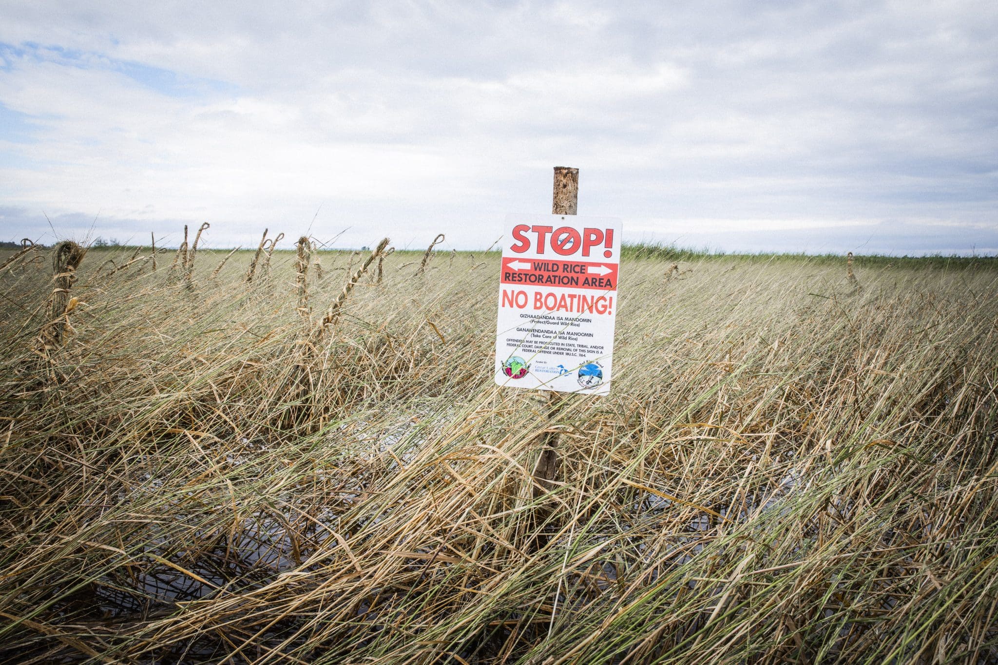 Bad River: Powerful documentary follows Wisconsin tribe’s fight for sovereignty and ...